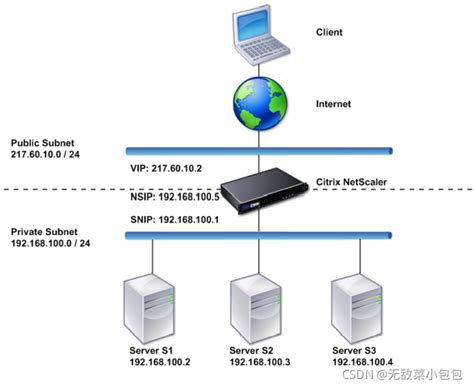 Citrixadc 四种常见的拓扑模式以及mip，snip的区别citrix Netscaler的snip Csdn博客