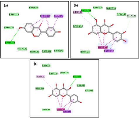 The 2d Schematic Interactions Of Docked Daidzein A Quercetin B