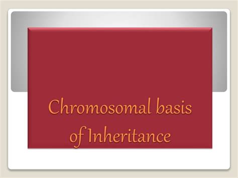 Chromosomal Theory Of Inheritance Ppt