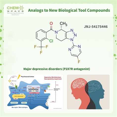 Elena Mishchuk Posted On Linkedin