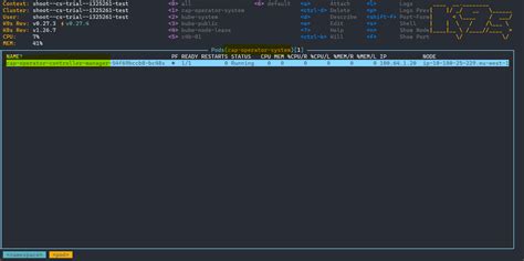 Local Cluster Cap Operator Lifecycle Local Cluster Cap Operator Lifecycle