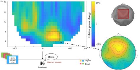 Response Locked Time Resolved Spectrum Of The Contrast Between Language