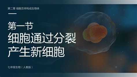 [生物]细胞通过分裂产生新细胞课件 共21张ppt 人教版生物七年级上册 课件下载预览 二一课件通
