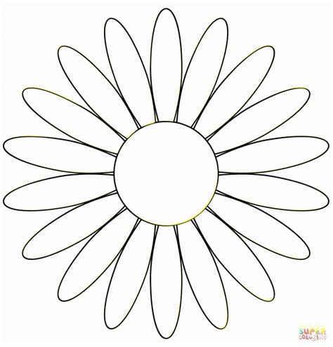 Sunflower Daisy Coloring Page