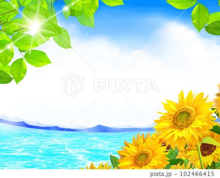 太陽の下入道雲の青い空の下に咲く向日葵ー海のゆらめく波の夏イメージイラスト素材のイラスト素材 [102466415] Pixta