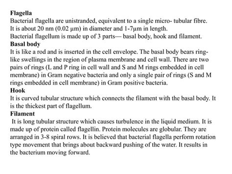 Bacteria Structure Pptx