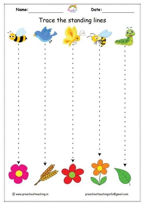 Tracing Standing Lines Preschool Teaching Image And Visual Related