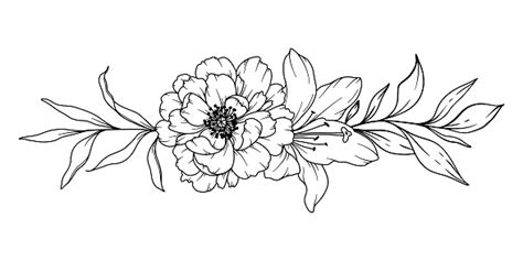 모란 선 그리기 흑인과 백인 꽃 꽃다발 꽃 색칠 공부 페이지 플로럴 라인 아트 파인 라인 모란 그림입니다 손으로 그린 꽃입니다