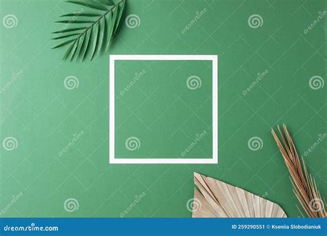Minimal Composition With White Frame And Palm Leaf On Green Background