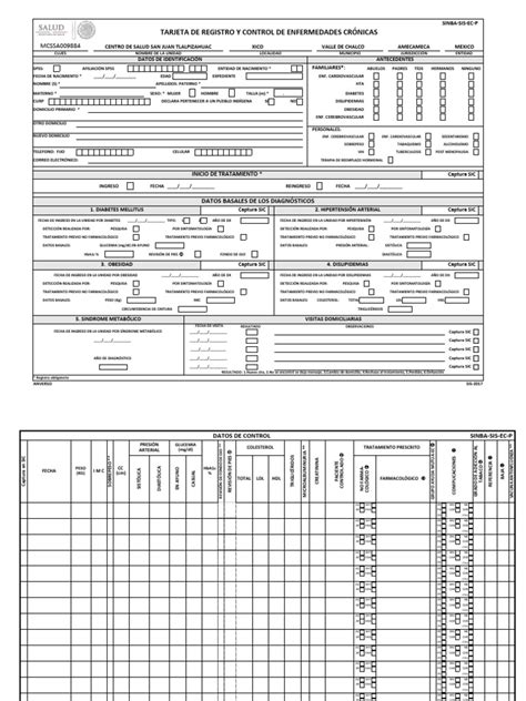 Tarjetero Cronicos Pdf Diabetes Obesidad