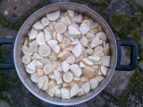 Ben S Adventures In Wine Making Prune And Parsnip Wine 2014 The Making