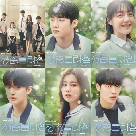 [정보 소식] 청춘블라썸 개인포스터 인스티즈 Instiz 카테고리