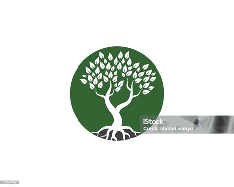 樹圖示徽標範本向量圖形及更多大自然圖片 大自然 抽象 插圖 Istock