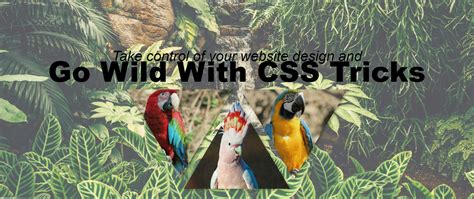 10 Incredible Css Tricks To Transform Your Web Layouts