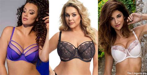 How Do You Tuck The Back Of A Shirt Into A Bra The Lingerie Pro