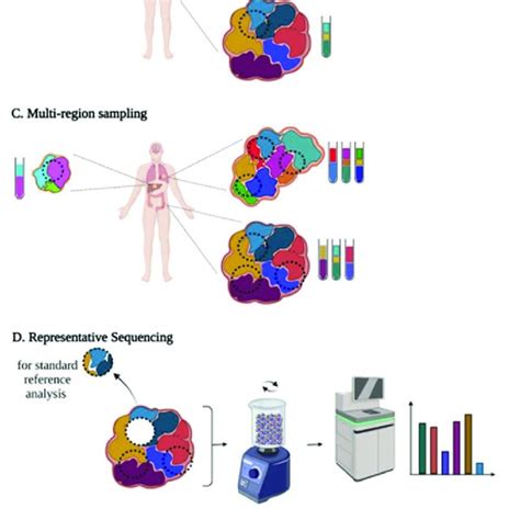 Emerging Approaches To Capture Intra Tumour Heterogeneity Ith A