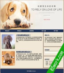 网页毕业设计论文 计算机毕业设计论文