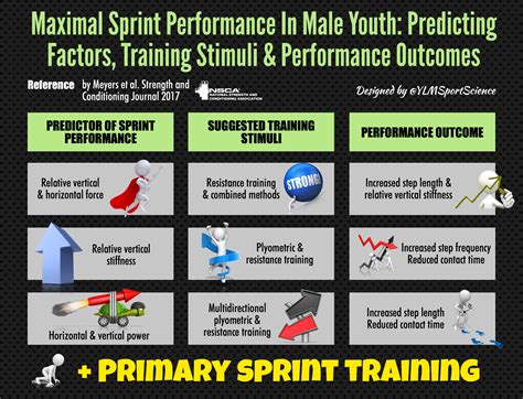 Maximal Sprint Performance In Male Youth Predicting Factors Training