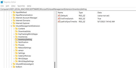 Discovered Apps The Intune Software Inventory Patch Tuesday Blog