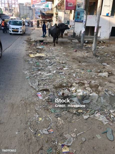 인도 뉴델리 근처 의 가지아바드 쓰레기로 둘러싸인 도시 거리에 묶여 있는 신성한 소들의 이미지 잡석에 대한 스톡 사진 및 기타