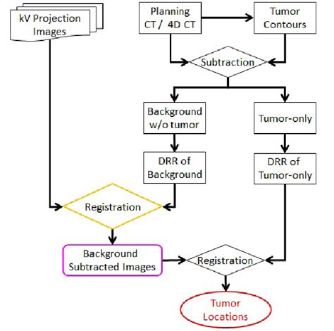 flow chart of the complete tumor detecting procedure download