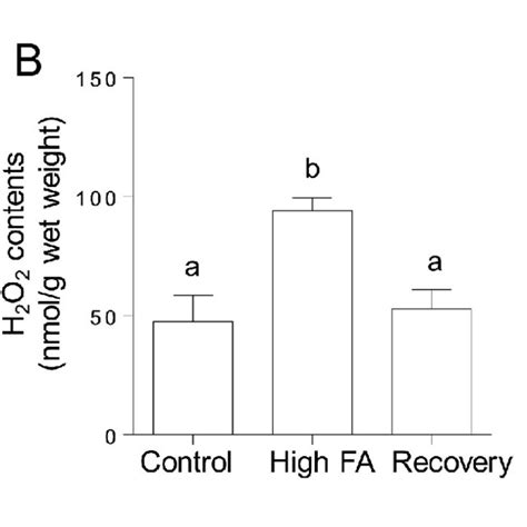 Effects Of Folic Acid Supplementation On The Levels Of Homocysteine And Download Scientific