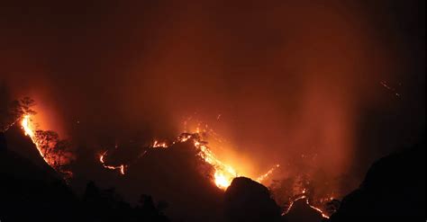 Se Disparan Incendios Forestales En La Cdmx Reporte Indigo