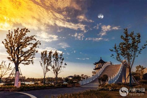 组照4 1《傍晚西园靓风采》 “南阳世界月季大观园杯”“魅力南阳新城区”摄影大赛 光影中国网 36 01ny cn powered by