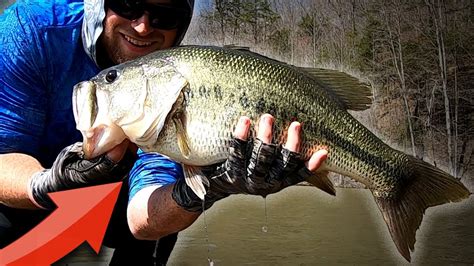This Spring Tank Couldnt Resist The Chatterbait Spring Bass