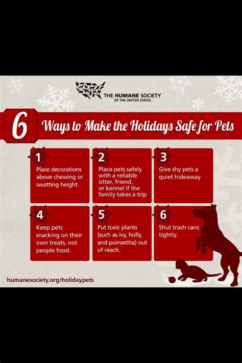 Keep Your Pet Safe