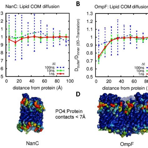 A Lipid Diffusion Coefficients As A Function Of Observation Time D
