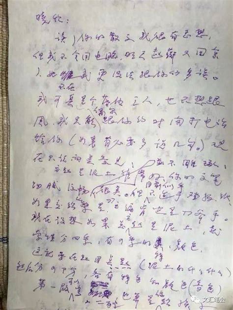 怀念杨苡先生 汪晓欣 老人 南京 文章