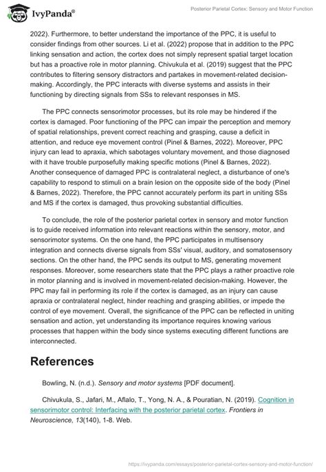 Posterior Parietal Cortex Sensory And Motor Function 1201 Words Essay
