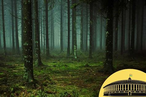 Forest Conservation Amendment Bill 2023