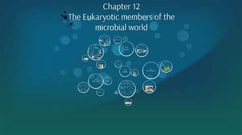 Chapter 12 The Eukaryotic Members Of The Microbial World By Nirupama