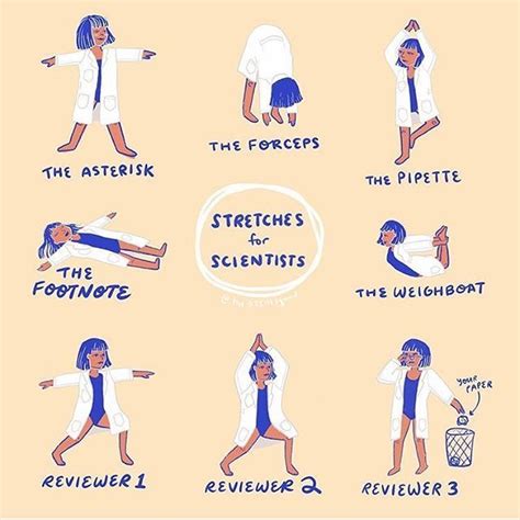 Stretches For Scientists Life Science Science Memes Science Puns