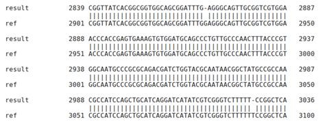 Lambda Phage De Novo Assembling