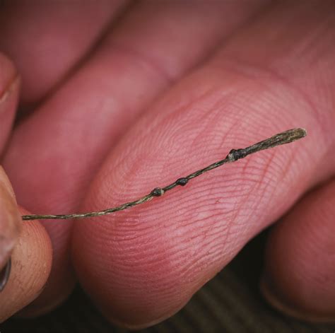 Flipper Rig Tips From Tel