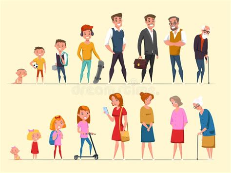 Ciclo De Vida Del Ser Humano Adultos Etapas De La Vida Humana Images