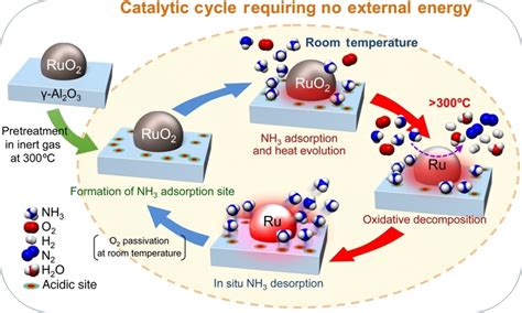 Schematic Representation Of The Self‐sustained Catalytic Cycle For The