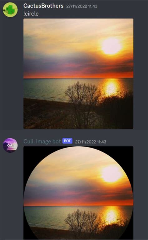 program a simple personal discord bot in python by cactuscoder fiverr