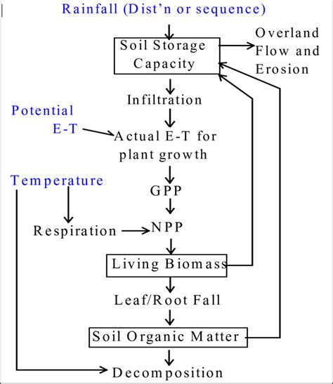 Schematic Flow Diagram For Natural Vegetation Growth Model Download