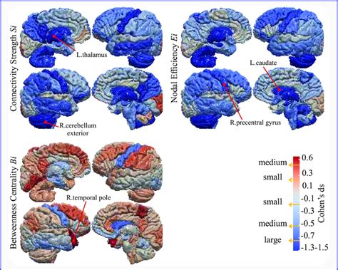 7 Maps Of The Effect Size Analysis Of The Difference Between Full Term