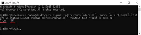 【aws Cli】cloudwatch Alarmの情報を取得する【describe Alarms】 現場で使える！ Aws実践ガイド
