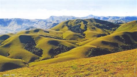 India Awaiting New Panels Report To Earmark Esas In Western Ghats