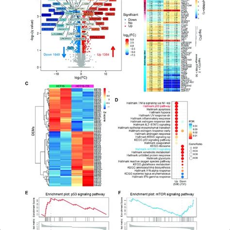 Identification And Functional Analysis Of Differentially Expressed