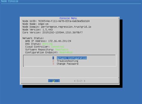 trustgrid local console utility