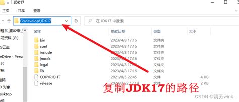 Jdk的下载、安装和环境变量的配置（超详细教程！）jdk下载 Csdn博客