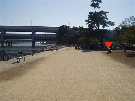 武庫川河川敷ランニングコース