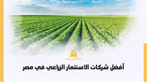 تعرف على أفضل شركات الاستثمار الزراعي في مصر مع Invest In Egy
